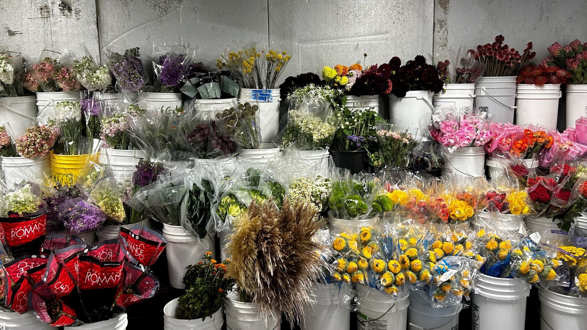 Global Flowers, SC - Halls Atlanta Wholesale Florist Inc.